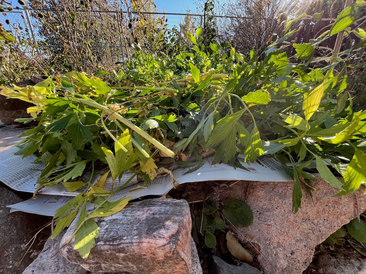 How to Create Compost without a Compost Pile - Horticulture