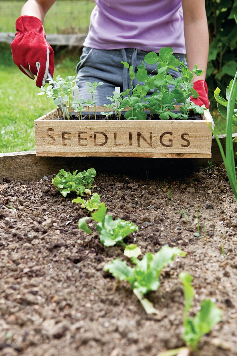 Growing-Degree Days: Why You Need to Know - Horticulture