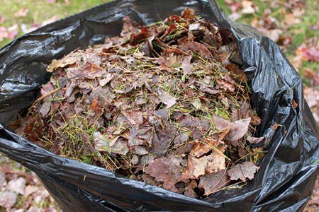 Adding Compost to Established Garden Beds - Horticulture